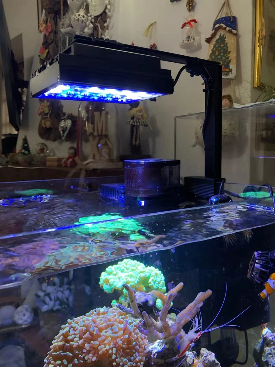 Nano Reef Tank Led Lighting | Shelly Lighting