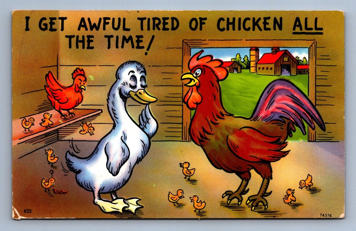 Funny Chicken Cartoons