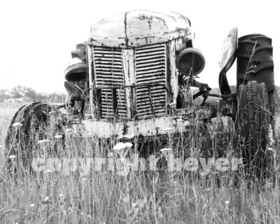 Old Rusty Antique Ford 8N or 9N Tractor Black & White Photograph Print ...
