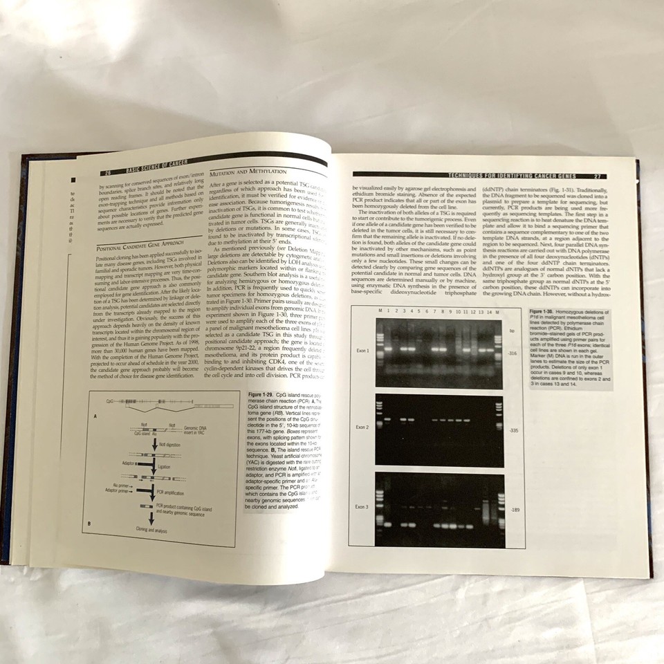 Basic Science of Cancer 2000 First Edition by Gary Kruh; Kenneth D. Tew ...