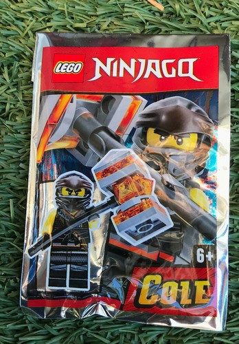 FIGURINE LEGO MINIFIGURE POLYBAG FOIL 891953 NINJAGO COLE AU MARTEAU ...