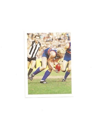 1991 SELECT VFL/AFL FOOTBALL STICKER #113 Scott Wynd MINT (Footscray ...