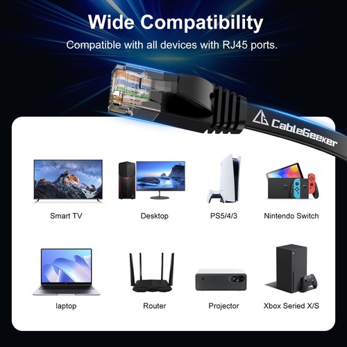 Cat 6 Ethernet Cable 100 ft, Indoor&Outdoor, High Speed 10Gbps Flat ...