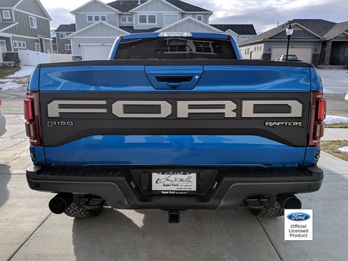 NEW 2020 FORD RAPTOR SVT F-150 TAILGATE LETTERS VINYL STICKERS DECALS ...