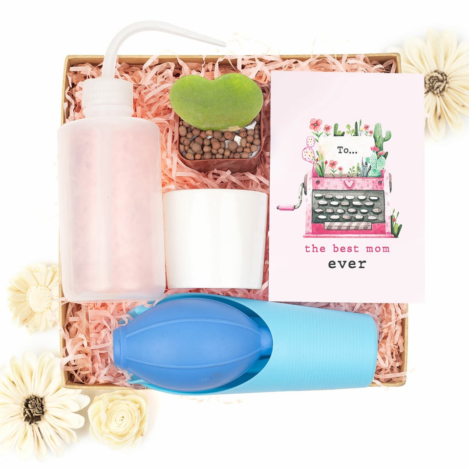 Beginner Kit Gift Box | eBay