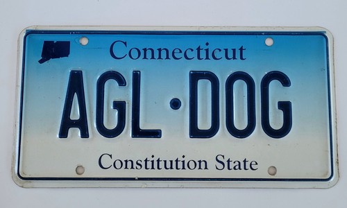 CONNECTICUT VANITY LICENSE PLATE 🔥FREE📬🔥 AGL DOG ~ PERSONALIZED CT TAG ...