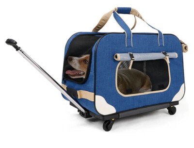 Do Do Pet Folding Pet Box | eBay