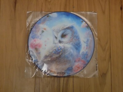 Wood Art Print Design Decor Wall Hanging Round Picture Snowy Owl | eBay