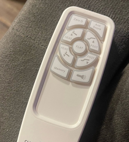 Bed Tech Bedtech BT2000 Richmat Remote Control for Adjustable Bed | eBay