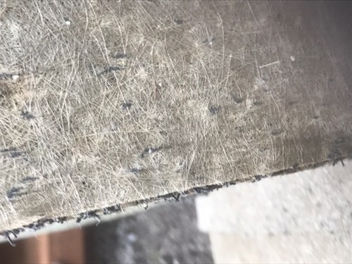 ENKA FLEX QUALITY UNDERLAY FOR ASTRO TURF,SPORT PITCHES,WOODEN FLOO ...