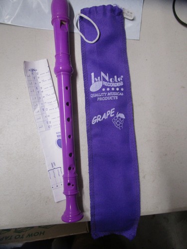 1st Note Plastic Recorder Grape 8 Hole | eBay