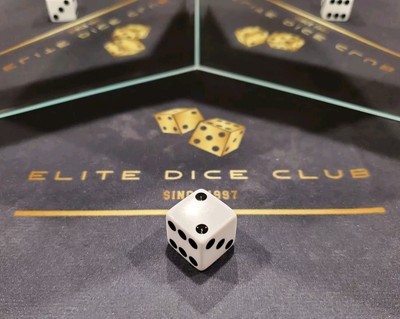 Loaded Dice Trick Dice Gaffed Dice Magic Dice Weighted Dice (2-3-6 ...