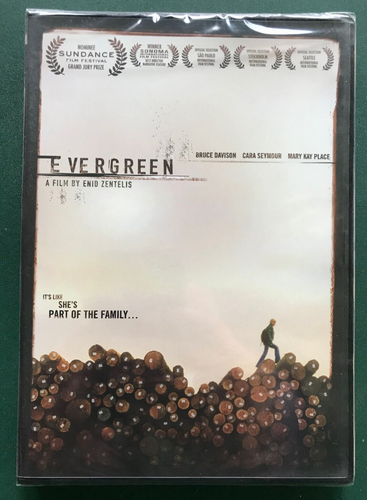 Evergreen (DVD) 2004 indie drama, Mary Kay Place, NEW, MINT, SEALED, Ohio seller | eBay