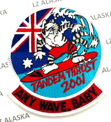 U.S. NAVY VF-154 F-14 TOMCAT PATCH TANDEM THRUST 2001 "ANY WAVE, BABY ...