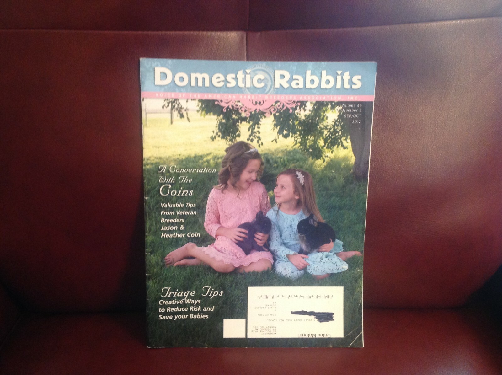 Domestic Rabbits Magazine (September / October 2017) | eBay