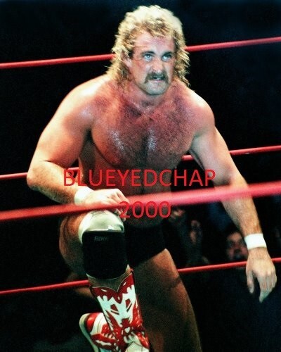 TERRY ALLEN WRESTLER 8 X 10 WRESTLING PHOTO NWA | eBay
