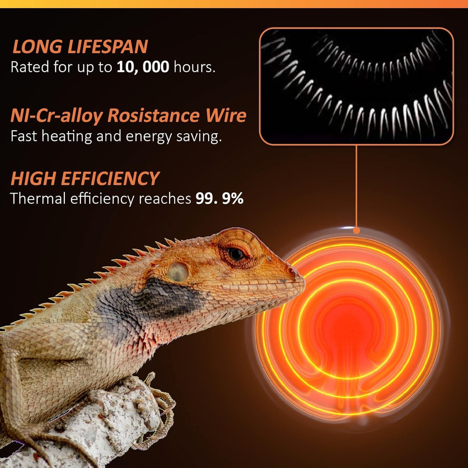 E27 Ceramic Heat Lamp 75W Terrarium Reptile Heat Lamp, No Light, No ...