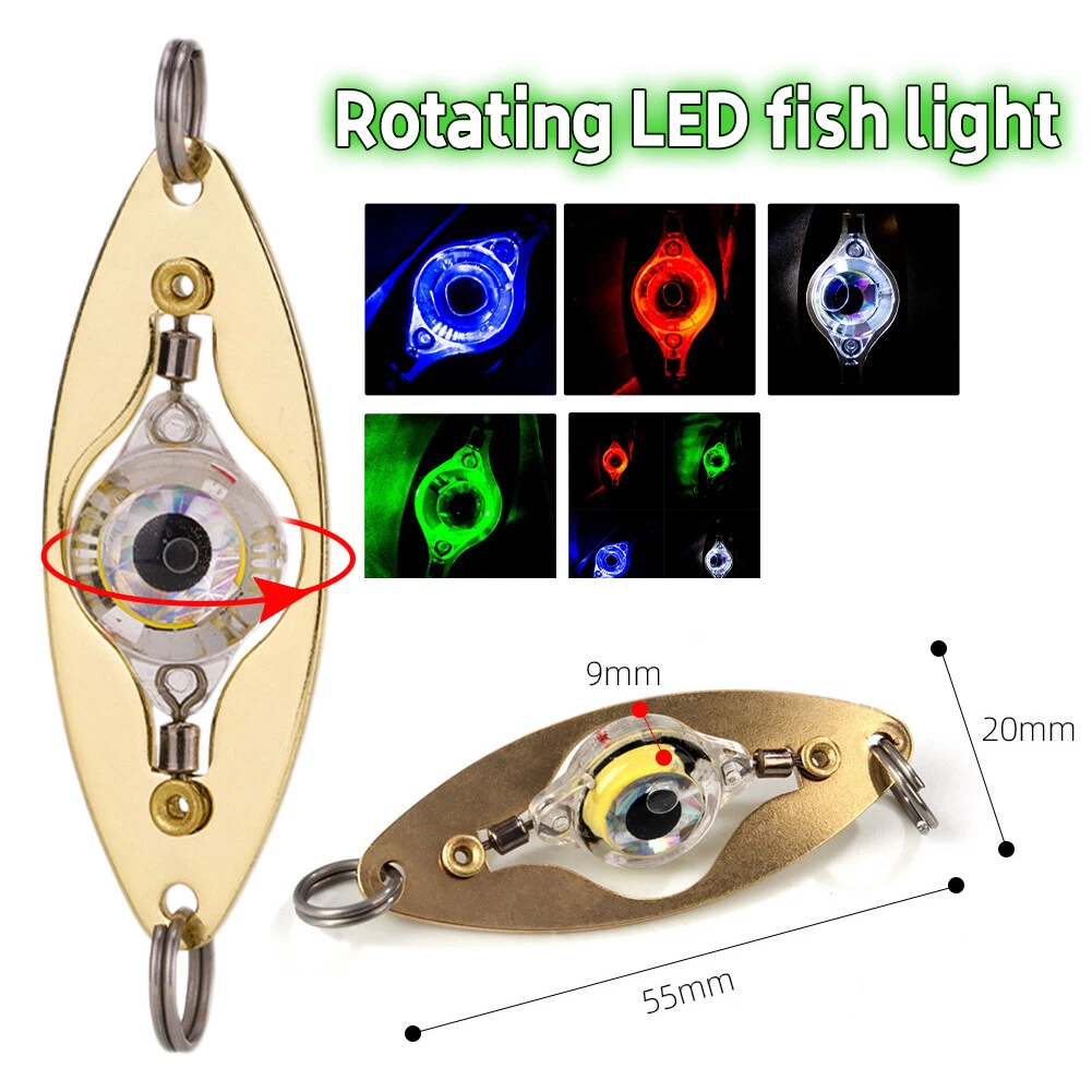 Deep Sea Fish With Light Lure