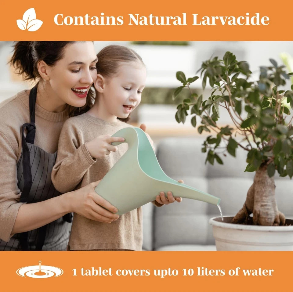 Fungus Gnat Control, Natural, Pesticide-Free Solution for Effective ...