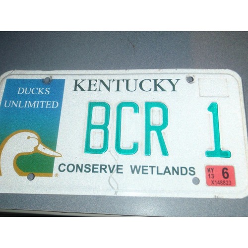 Kentucky Ducks Unlimited 2013 License Plate #BCR 1 Custom Low Number | eBay