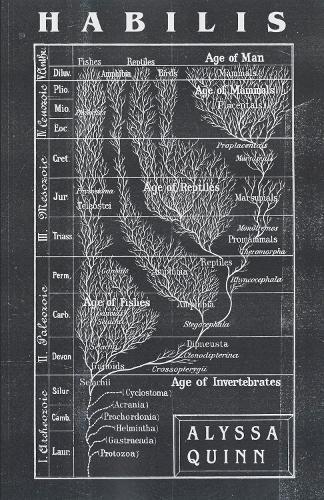 Alyssa Quinn Habilis (Poche) 9781950539475 | eBay