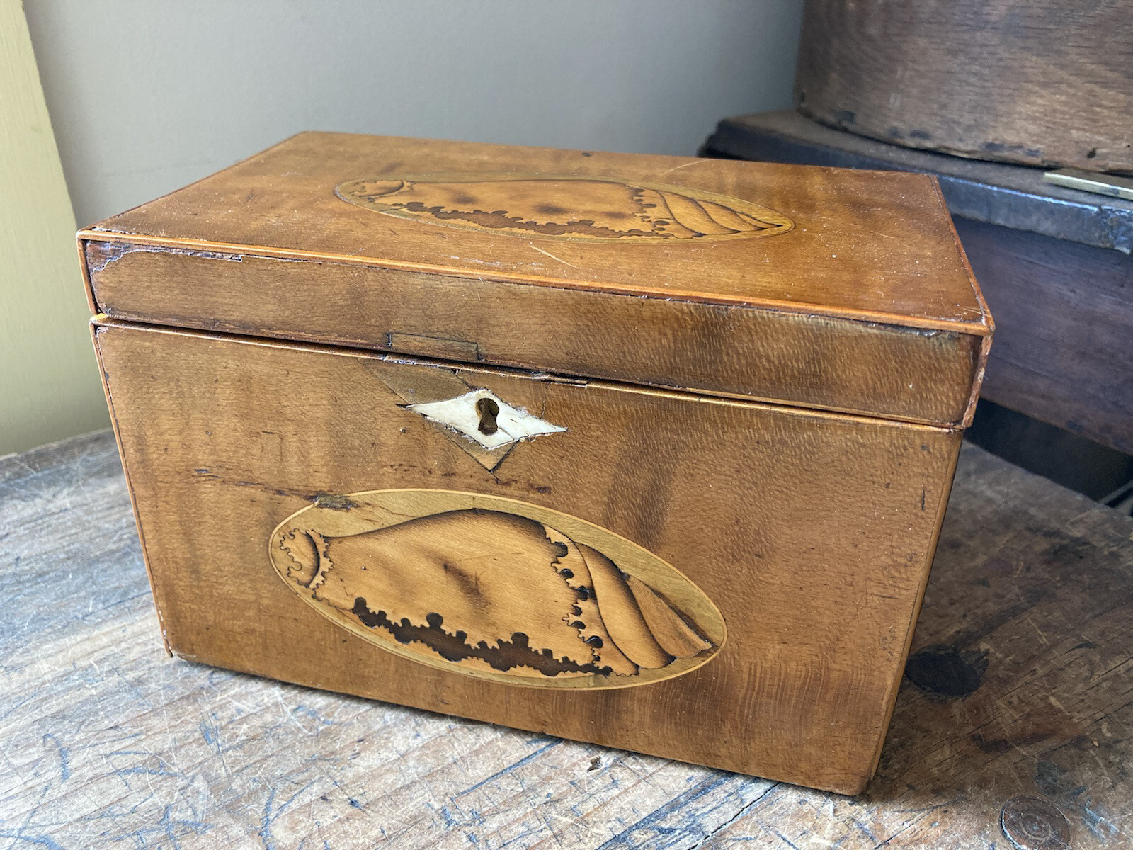 ANTIQUE 18th C Georgian Era Fancy Inlayed Tea Caddy Box Conch Shell ...
