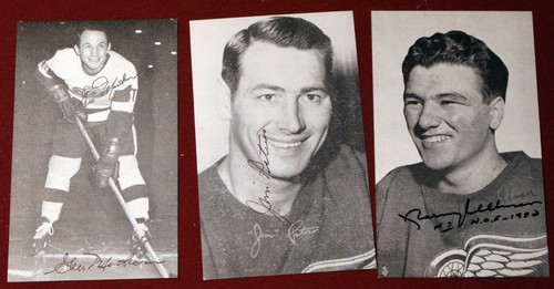 20 JD Mccarthy Signed Detroit Red Wings Postcards Gary Bergman Pete ...