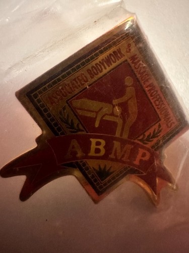 Vintage ABMP Associated Bodywork and Message Professionals Gold Tone ...