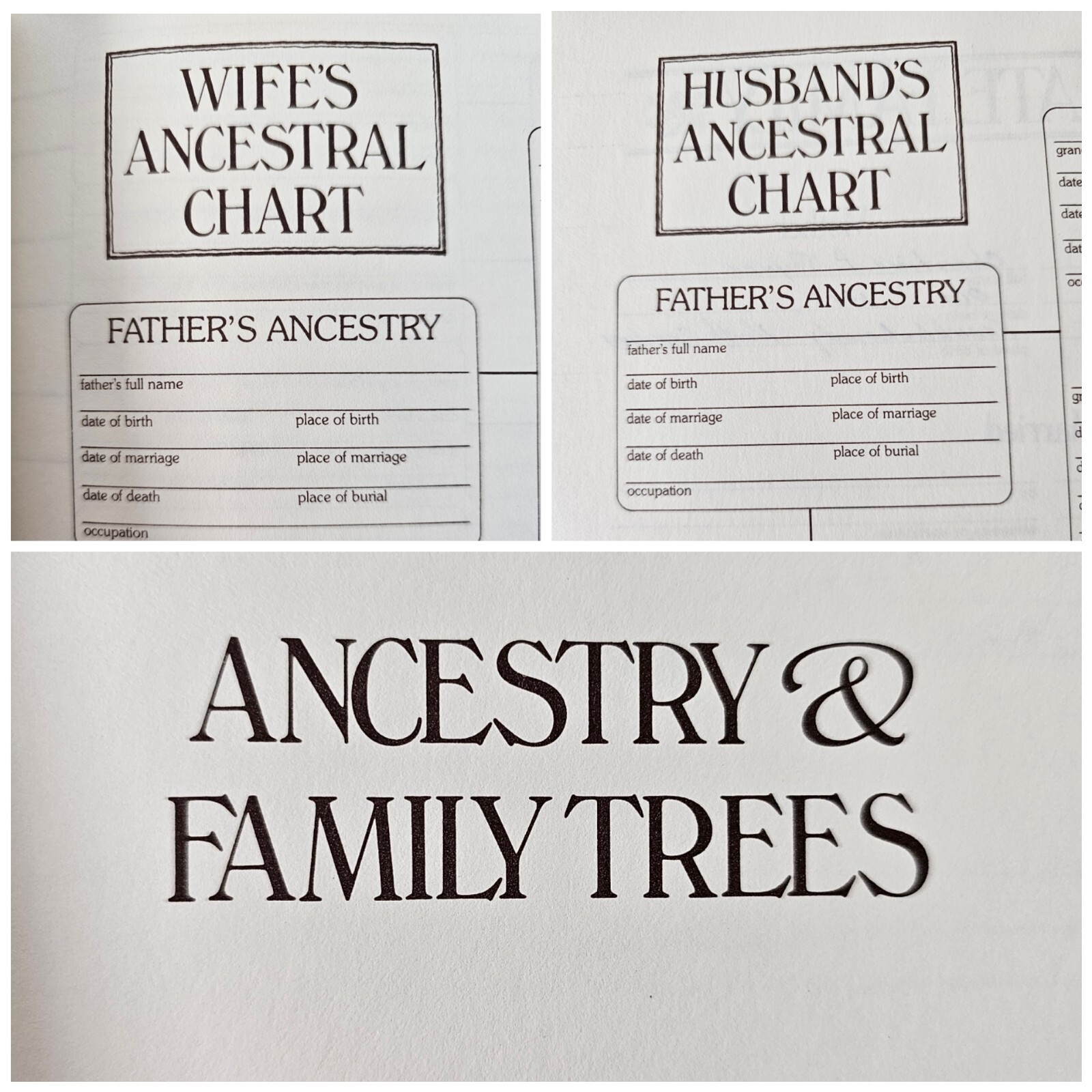 Our Family History Ancestry & family Tree Journal Genuine Bonded ...