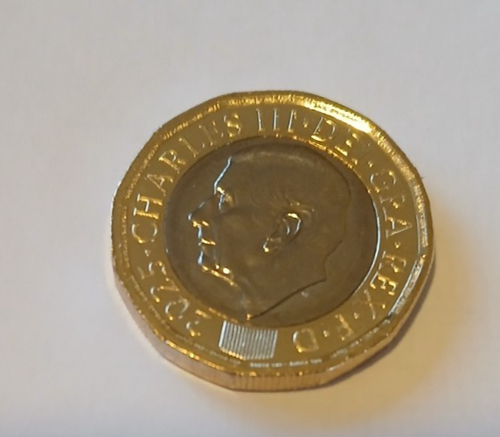 RARE LOW 170,000 MINTAGE 2025 KING CHARLES UNC BEES £1 ONE POUND COIN ...