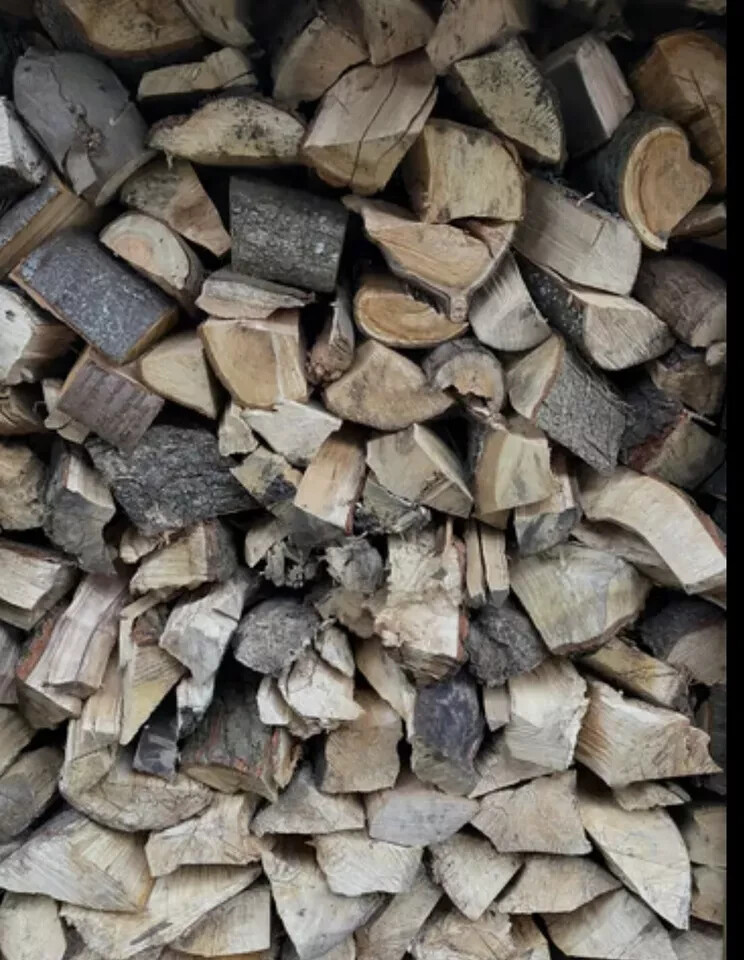 Hardwood Logs Seasoned Firewood Logs Extra Large 40L Nets - Logs 25cm ...