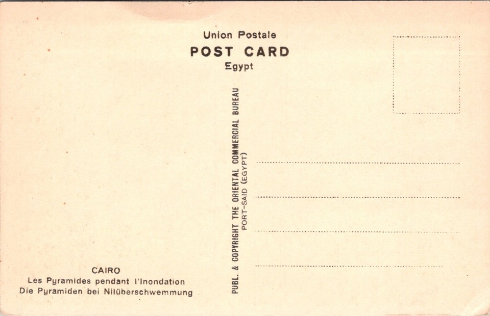 Vintage Postcard Cairo Egypt Unposted c 1950 The Pyramids of Gizeh and ...