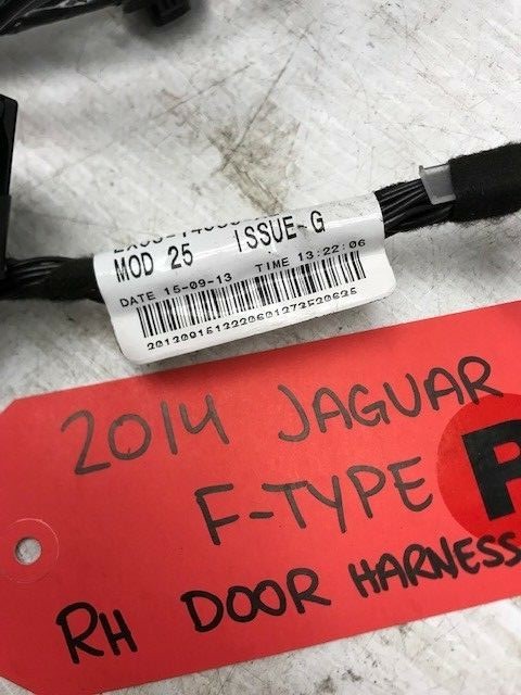 2014 JAGUAR FTYPE F-TYPE Cablaggio Porta Lato Destro EX53-14630-AG | eBay