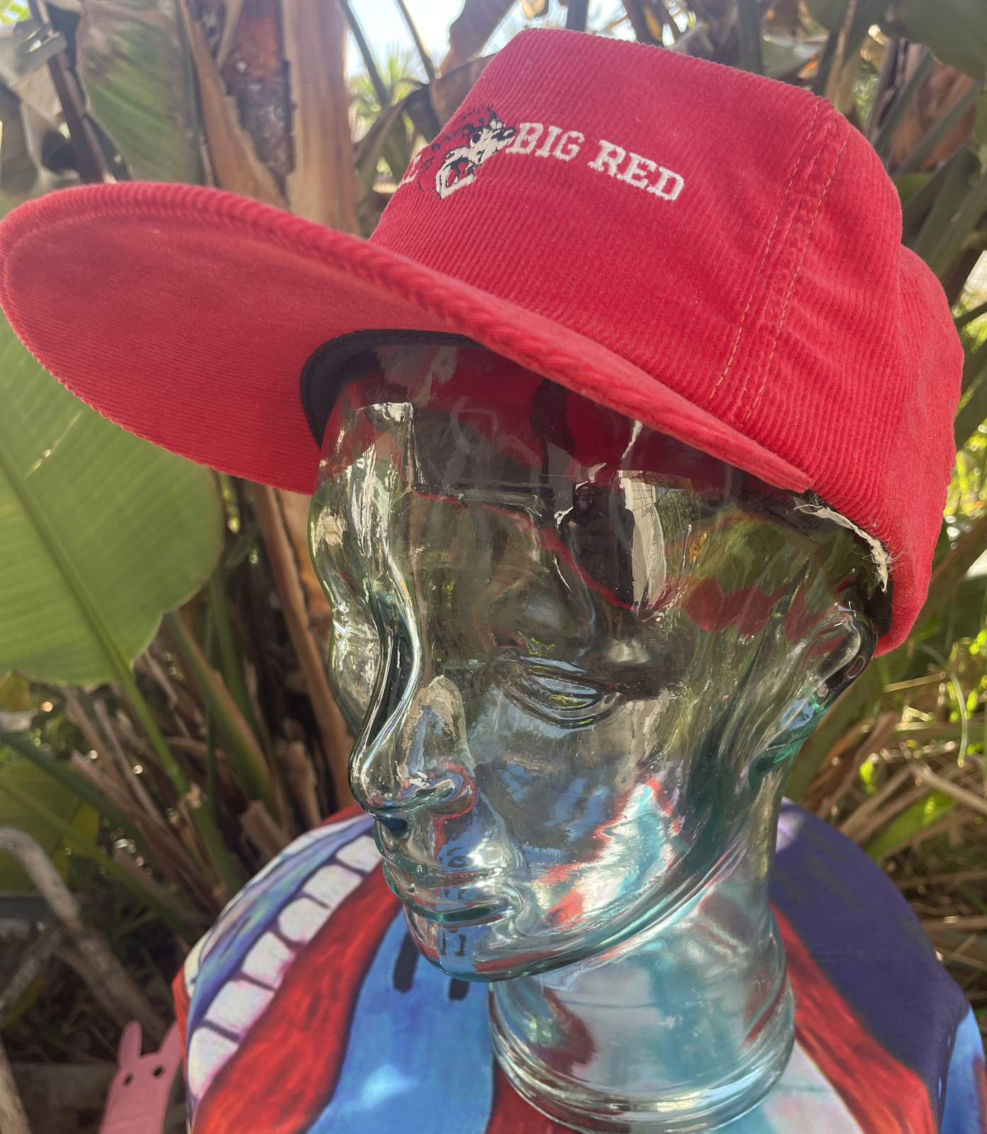Vintage courdueoy Cornell University Big Red adjustable cap, snapback ...