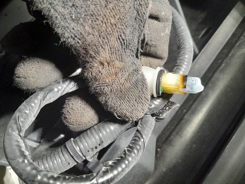 Genuine Ford License Lamp 6M2Z-13550-A for sale online | eBay