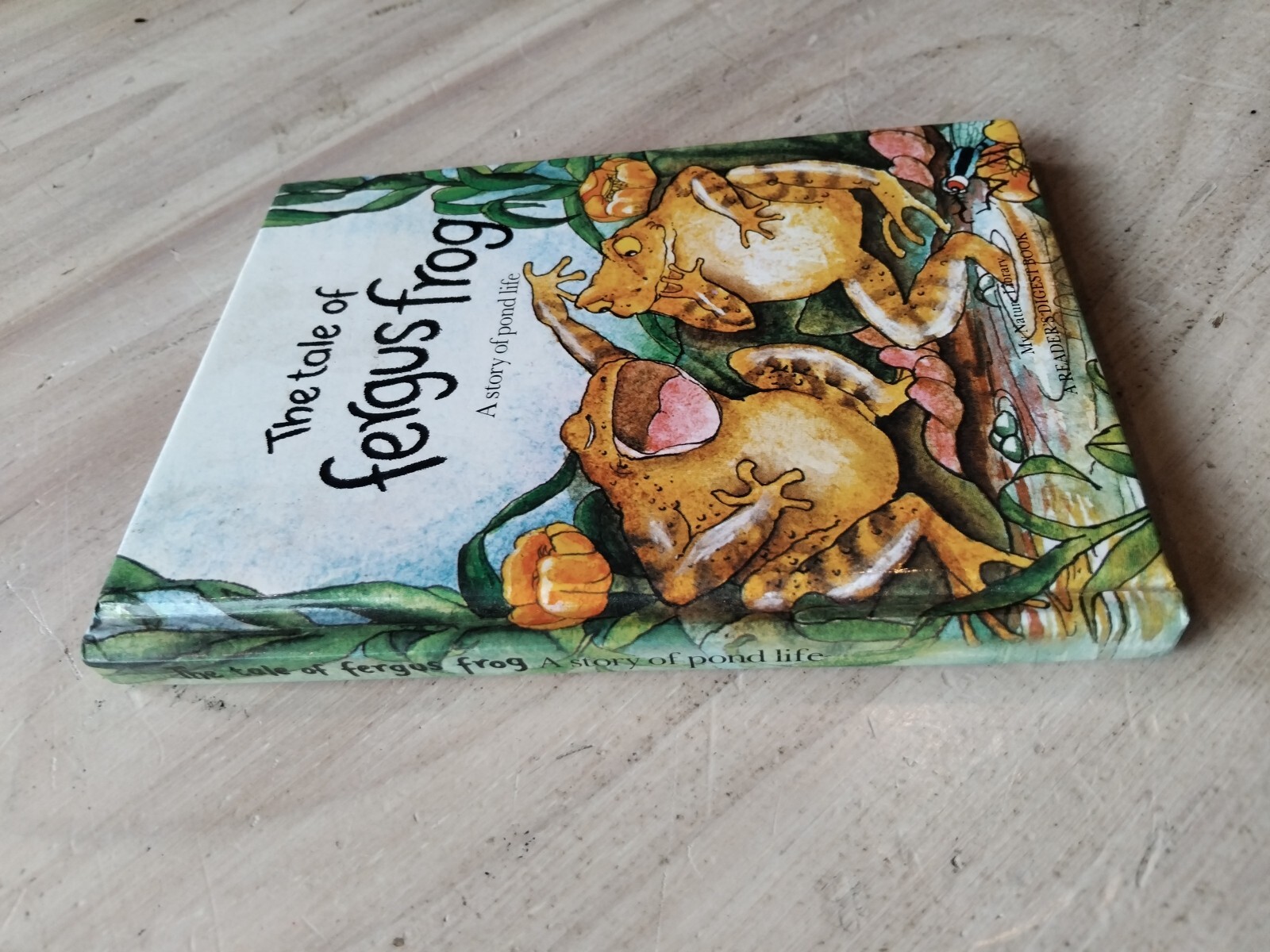 The Tale of Fergus Frog: a Story of pond Life Hardcover | eBay