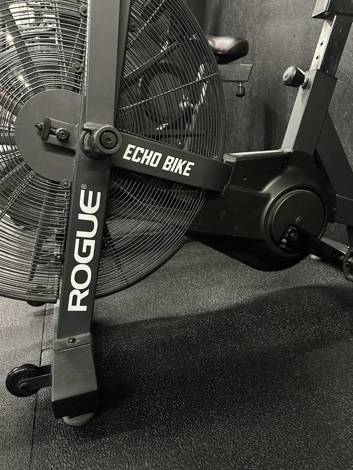 x2 Rogue Fitness Echo Bikes | eBay UK