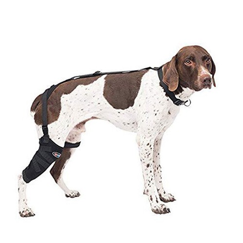 Caldera Pet Therapy Wrap Hot and Cold Gel Wrap TALL STIFLE for Medium ...
