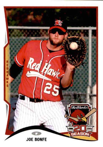 2015 Fargo-Moorhead RedHawks Team Issue #4 Joe Bonfe Augusta Georgia GA ...