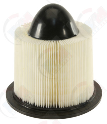 Air filter 12818010 for Ford F150 250 350 E150 Expedition Mustang ...