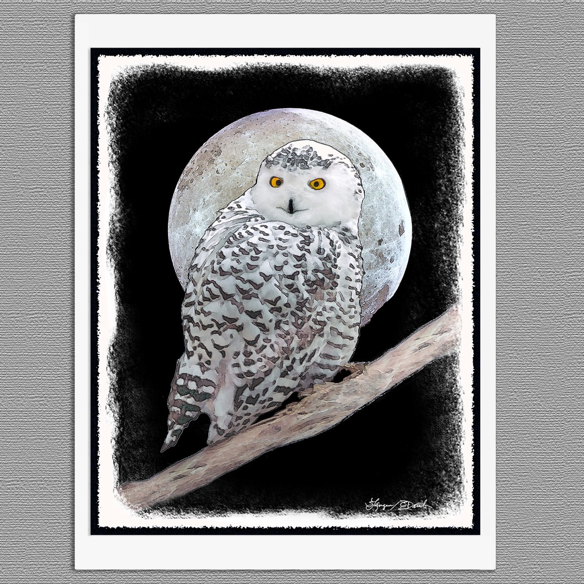 Owl Themed Blank Invitations