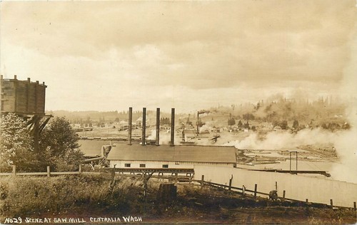 C-1910 Centralia Washington Lumber Sawmill occupation Postcard RPPC 24 ...