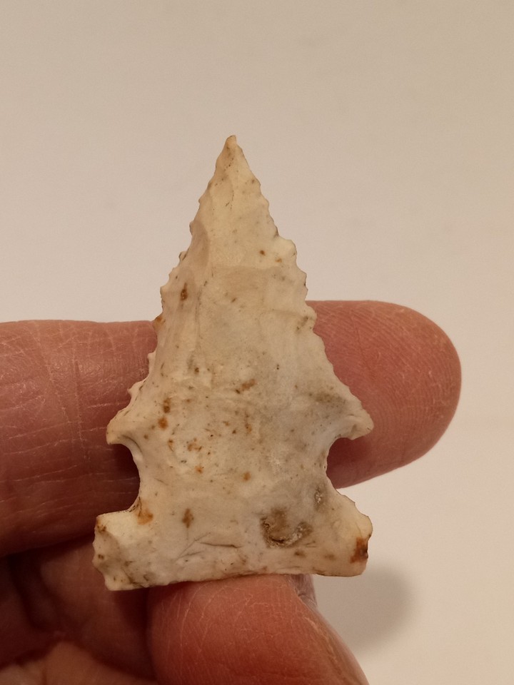FINE TAYLOR SIDE-NOTCHED POINT - HENRY COUNTY, ALABAMA - GREG PERINO ...
