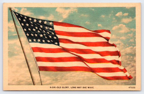 Depiction of 1889 40 Star US Flag, Old Glory Long May She Wave c1930 ...