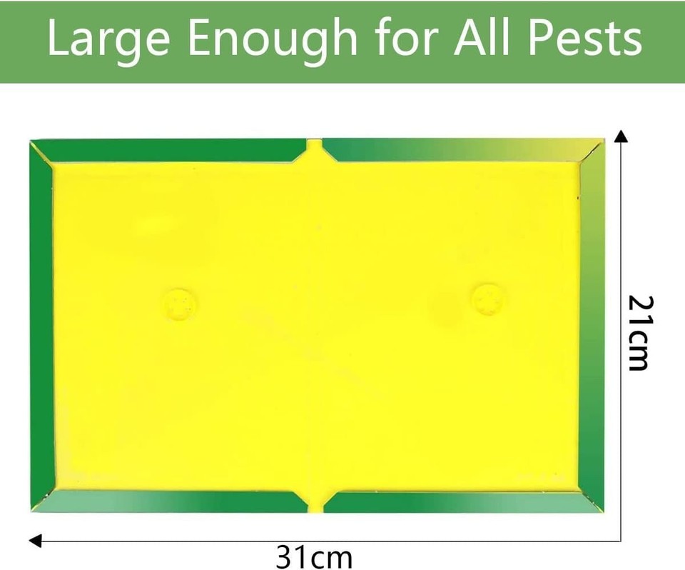 Sticky Traps Pest Trap Pads Board - Large Extra Strong Sticky Trap for ...