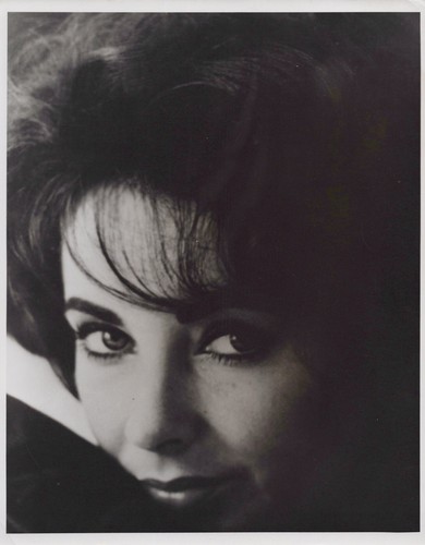 Elizabeth Taylor (1960s) Vintage Hollywood Beauty Stunning Photo M 267 ...