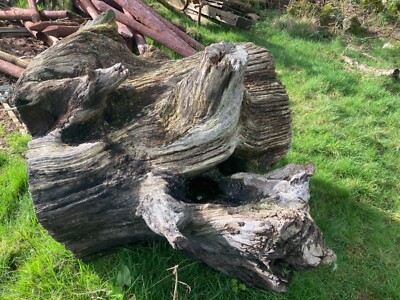 Large oak decorative tree stump | eBay UK