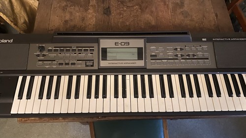 Roland E09 Electric Portable Interactive Keyboard With Power Supply ...