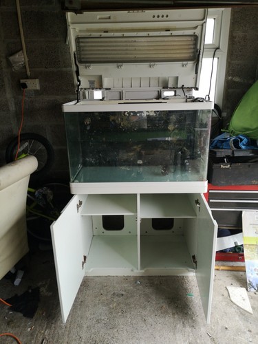 Red Sea Max 250 Fish Tank | eBay UK