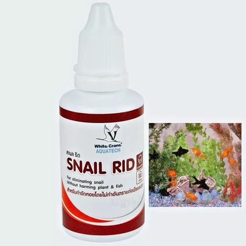 Snail Rid Infestation Pest Control Aquarium Tank Snails Fish Gets ...